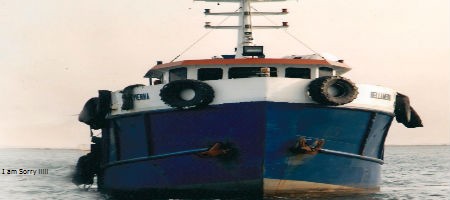 StepUp Shipping Agency - Fleet